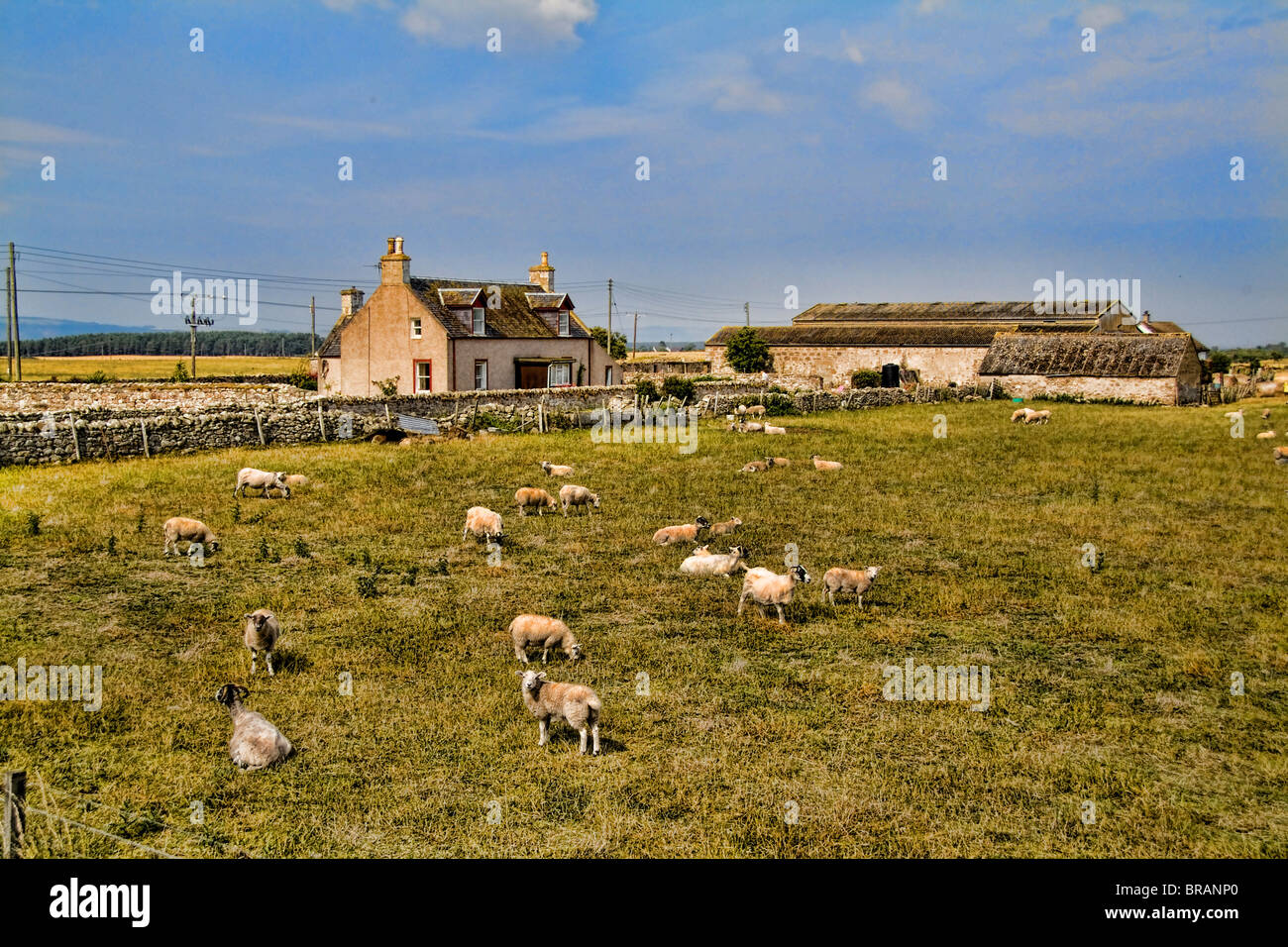 Farming old kingdom hi-res stock photography and images - Alamy