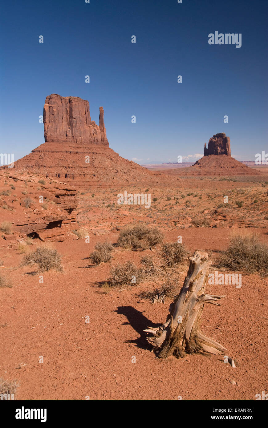 West Mitten Butte on the left and East Mitten butte on the right ...