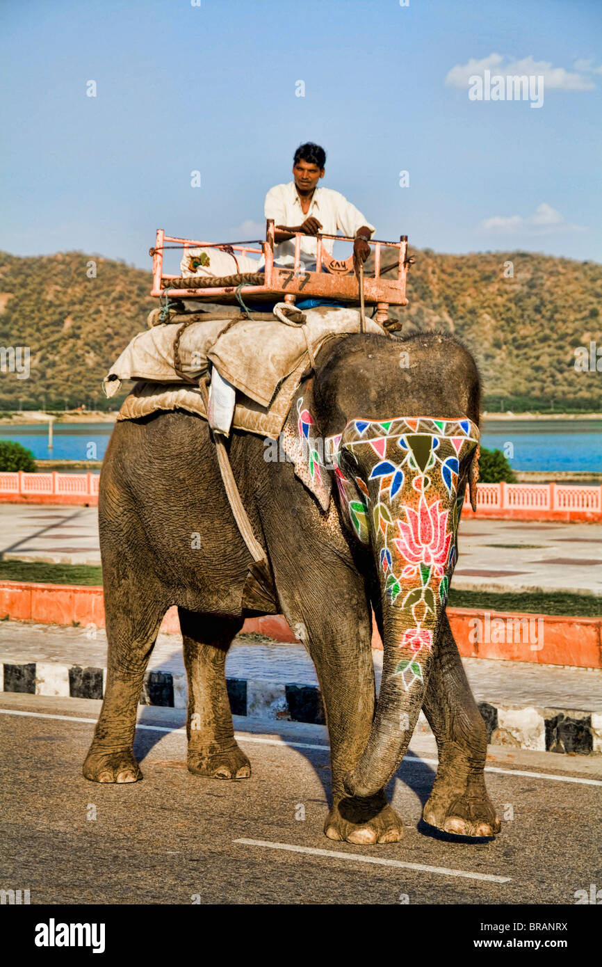 Elephant ride at beautiful peaceful Water Palace of Jal Mahal on the ...