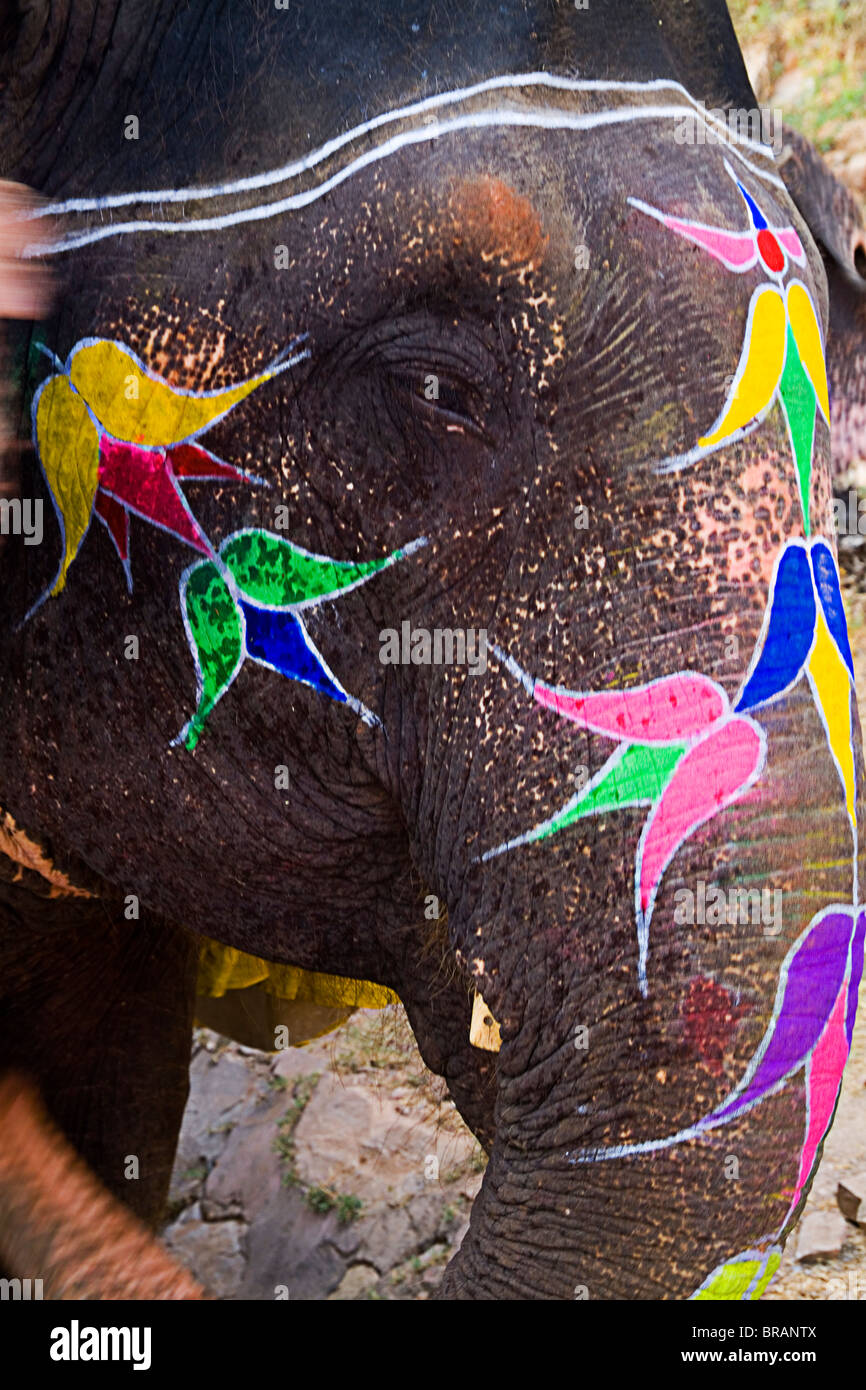 Elephant india paint hi-res stock photography and images - Alamy