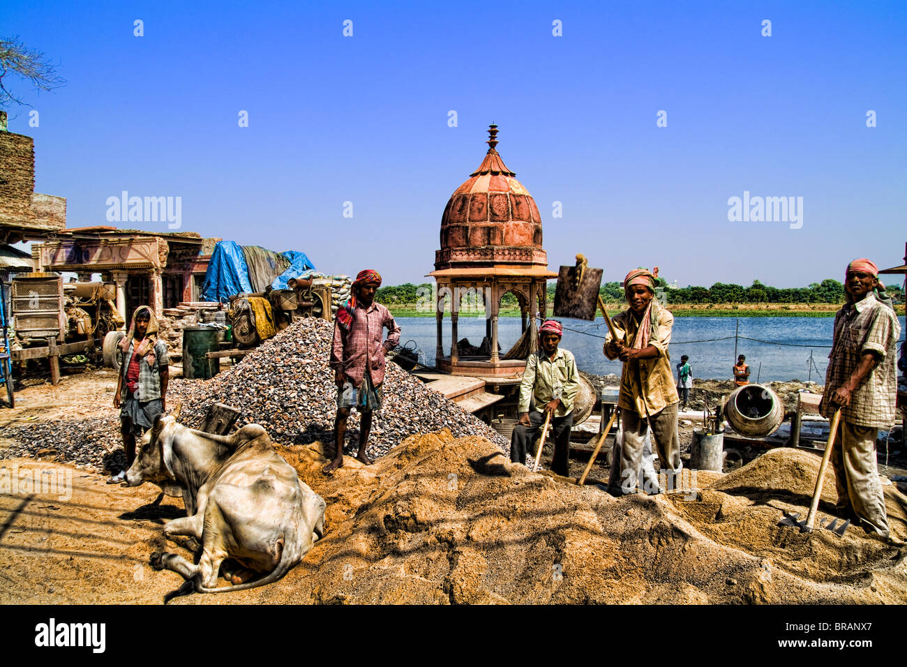Workmen doing labor with cow resting among mess in religious village of ...