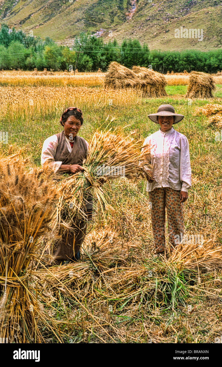 Lhasa Tibet Girl Stock Photos & Lhasa Tibet Girl Stock Images - Alamy