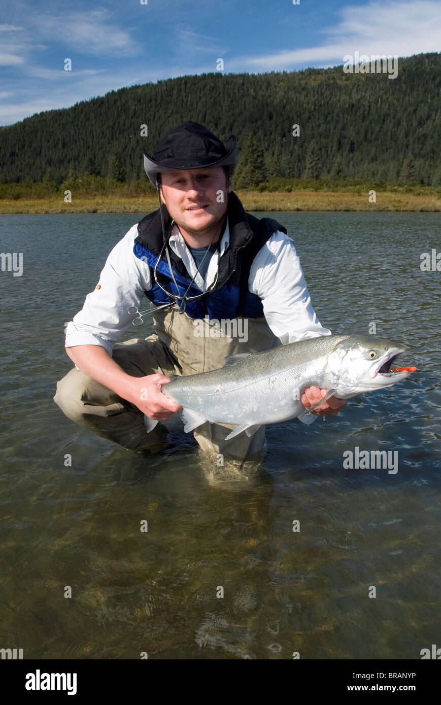Fisherman holding a Silver (Coho) salmon (Oncorhynchus kisutch ...