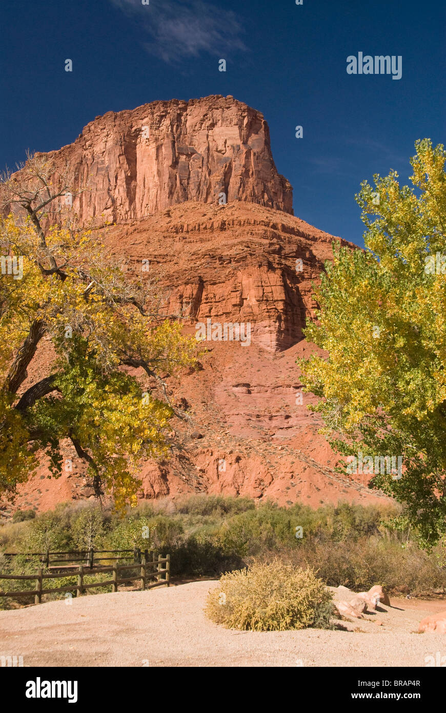 Huge butte with trees turning color in the Fall, Utah Scenic Byway 128 ...