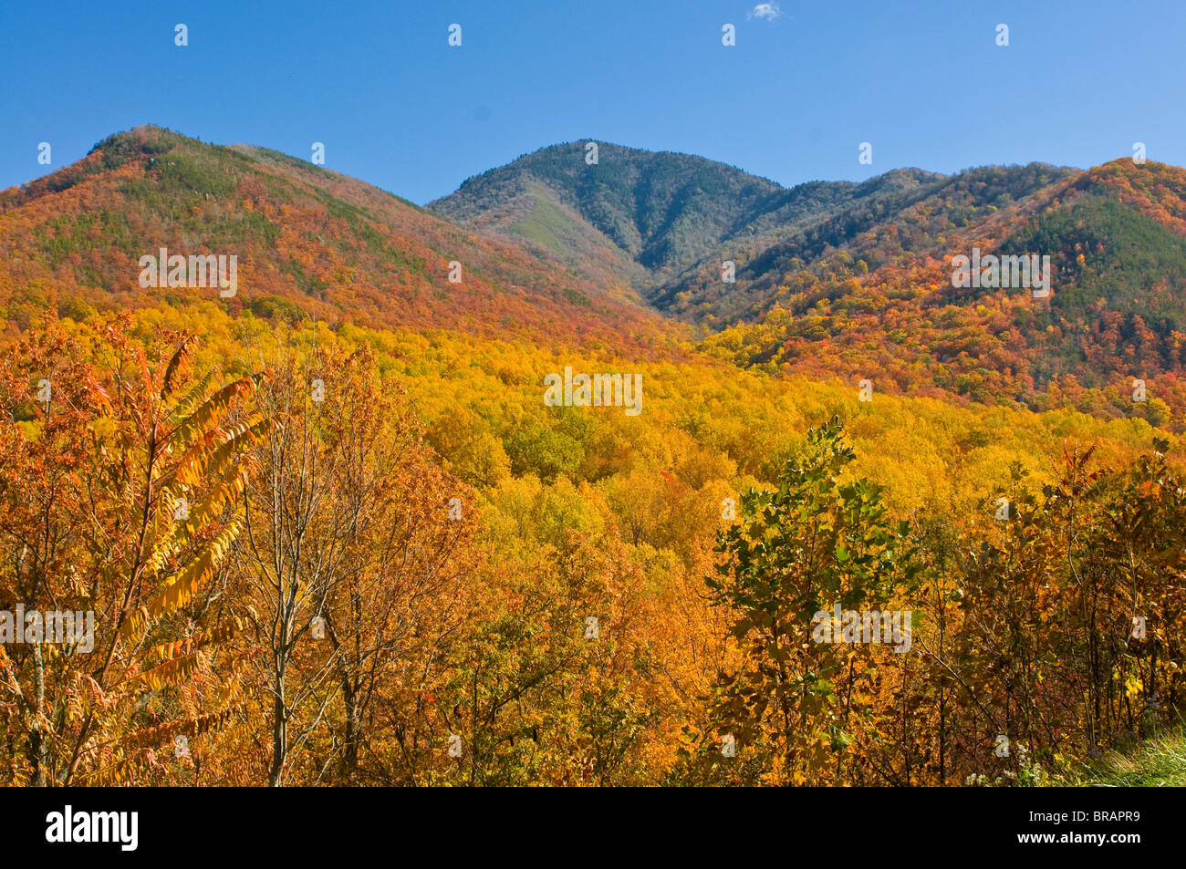 Indian valley hi-res stock photography and images - Alamy