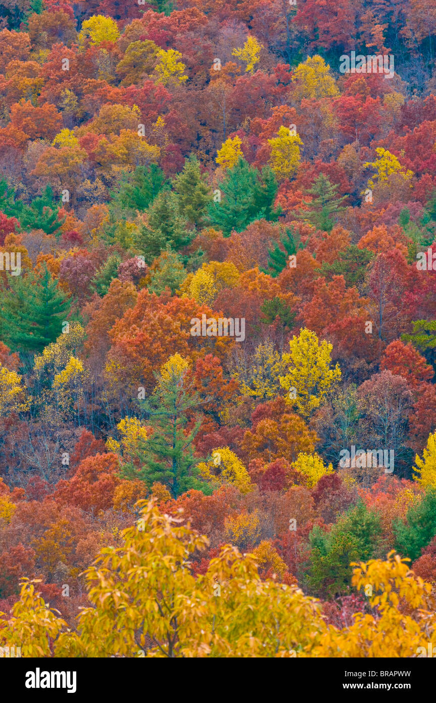 Beautiful foliage in the Indian summer, Blue Ridge Mountain Parkway ...