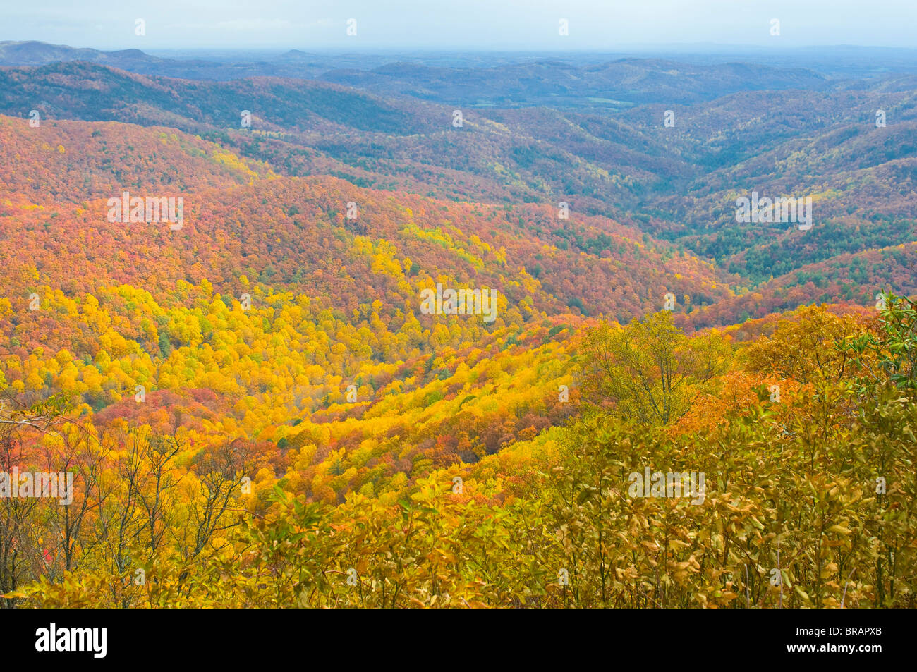 Beautiful foliage in the Indian summer, Blue Ridge Mountain Parkway ...