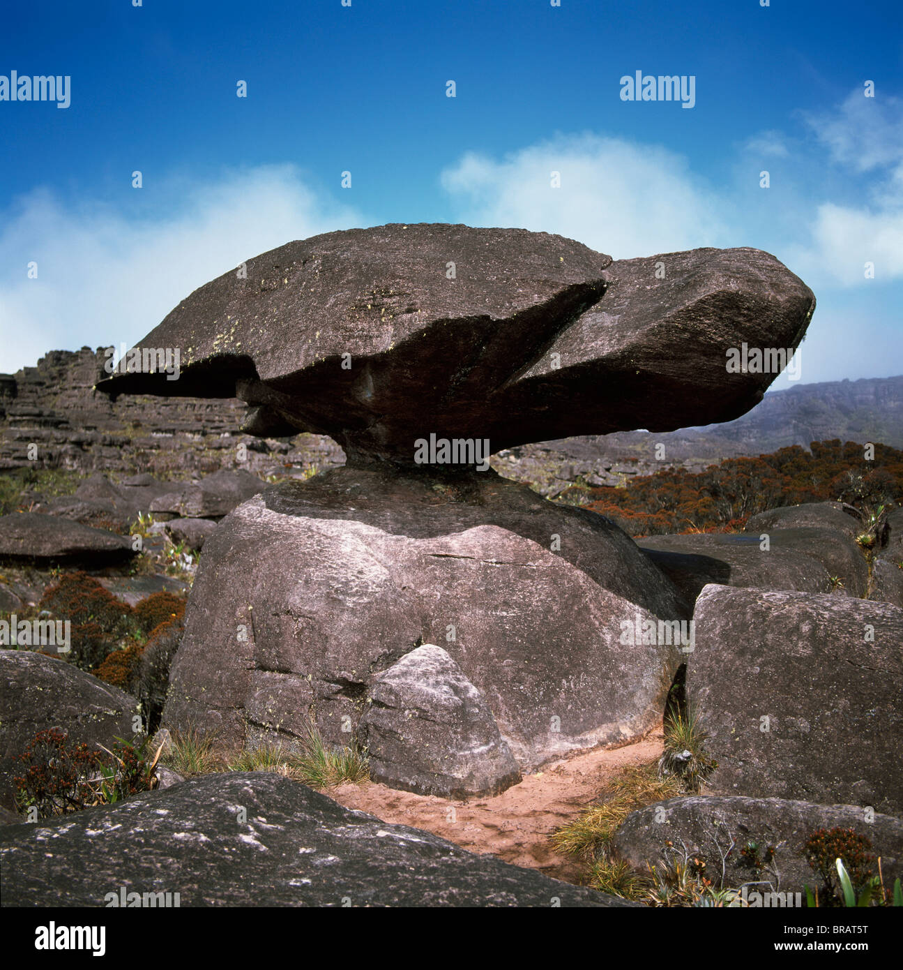 Turtle Rock, Mount Roraima summit, Estado Bolivar, Venezuela, South ...