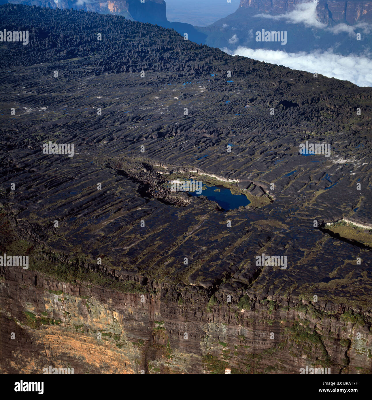 Aerial image of tepuis showing the summit of Mount Roraima (Cerro ...