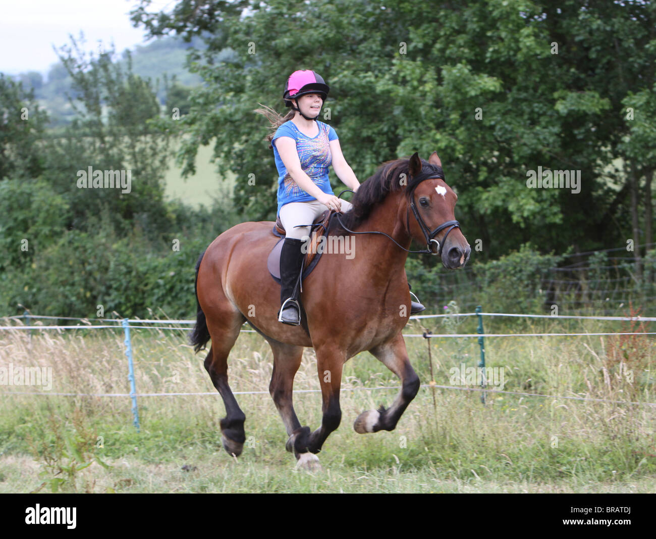 A teenage girl riding a beautiful bay Welsh Cob Stock Photo - Alamy