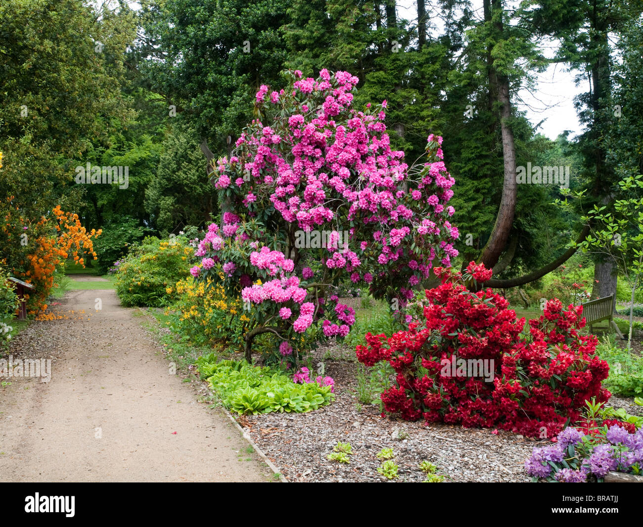 The Middle Garden at Wentworth Castle and Gardens, Stainborough near ...