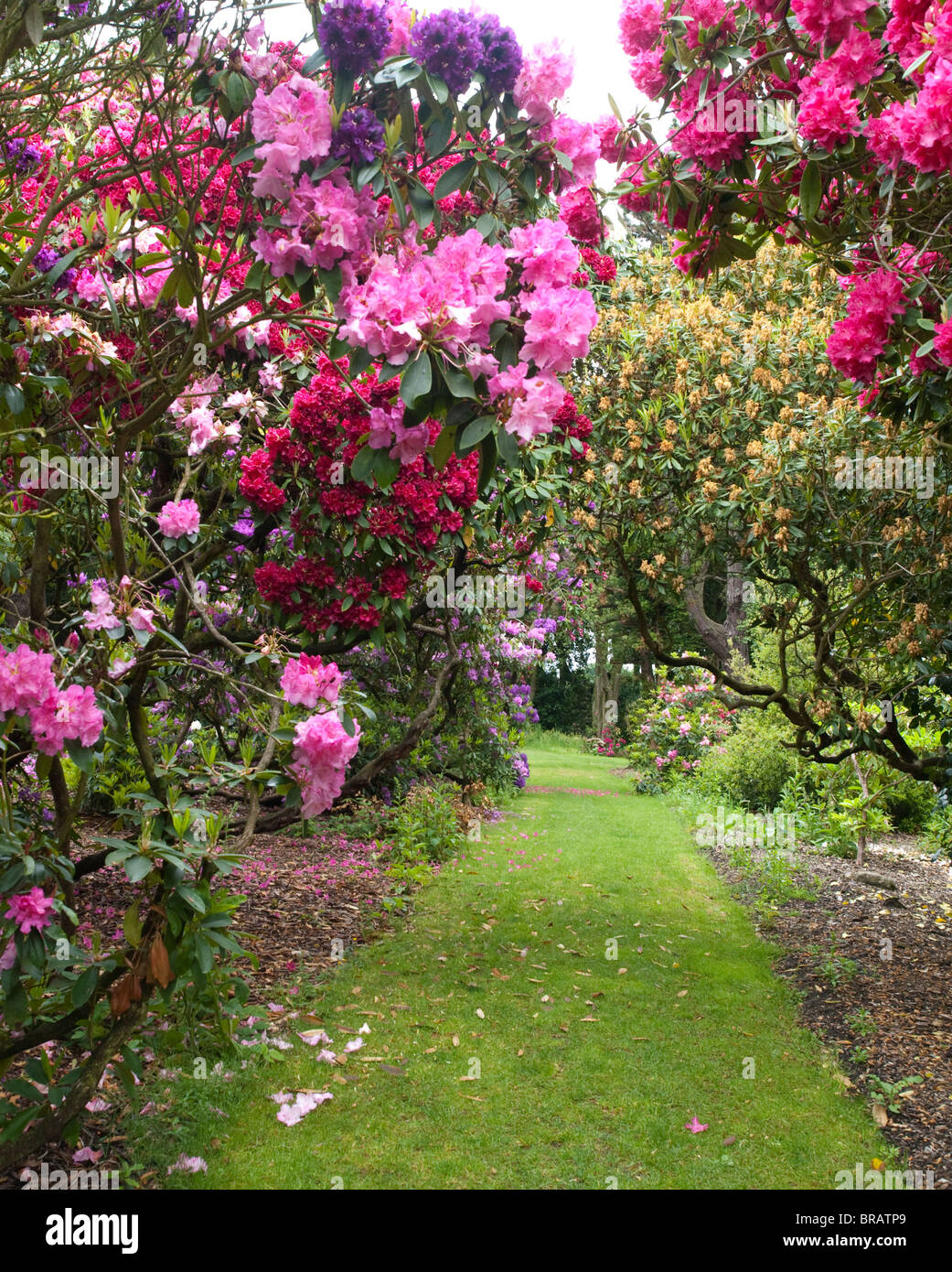 The Middle Garden at Wentworth Castle and Gardens, Stainborough near ...