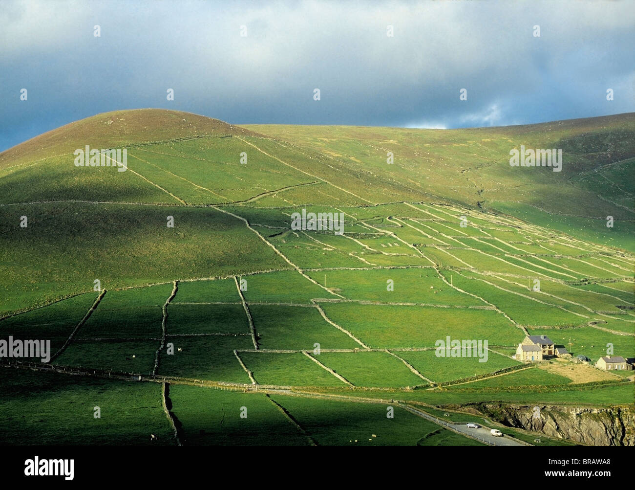 Coumeenoole, Dingle Peninsula, Co Kerry, Ireland; Fields And Stone ...