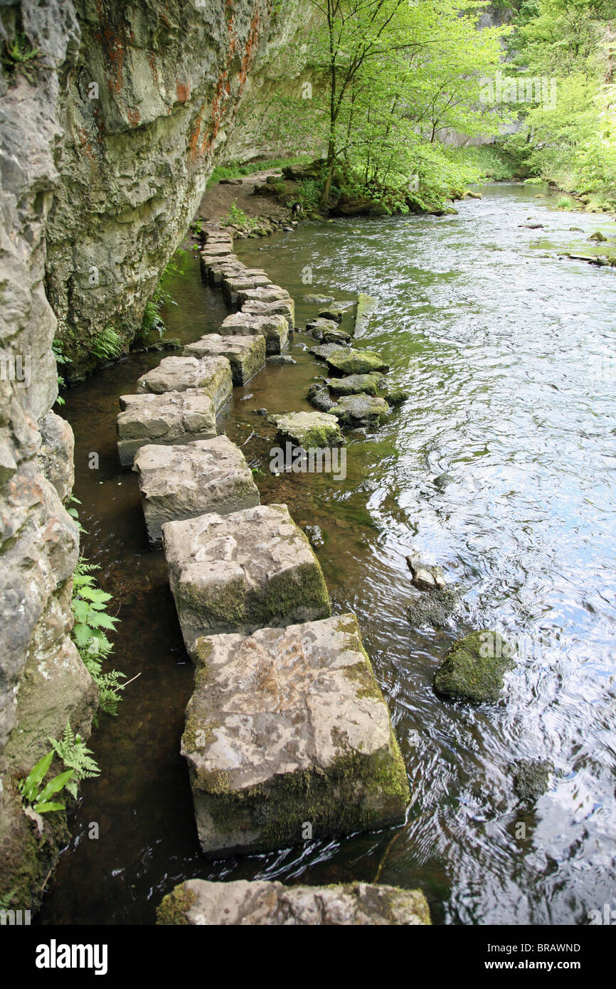 Limestone stepping stones on the River Wye at Chee Dale, Derbyshire ...