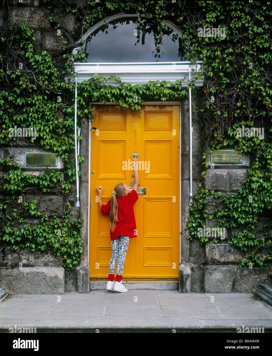 Dublin Doors, Merrion Square, Dublin, Ireland Stock Photo - Alamy
