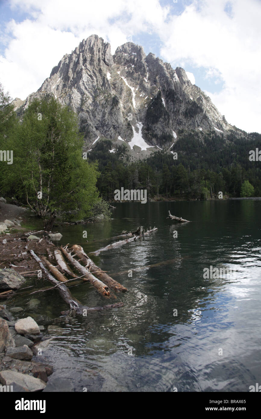 Subalpine forest under Els Encantats peak on Pyrenean Traverse Sant ...