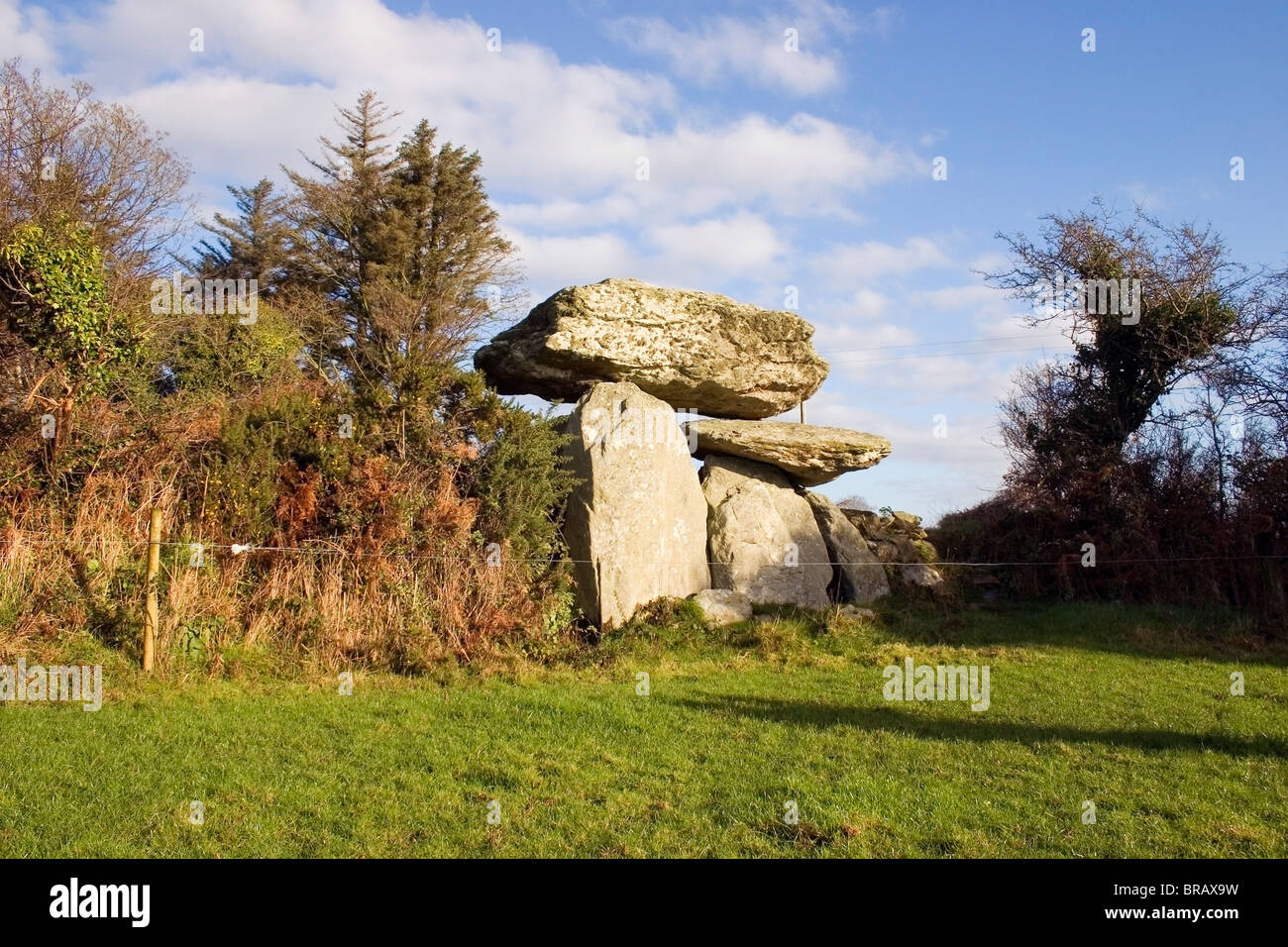 New waterford hi-res stock photography and images - Alamy
