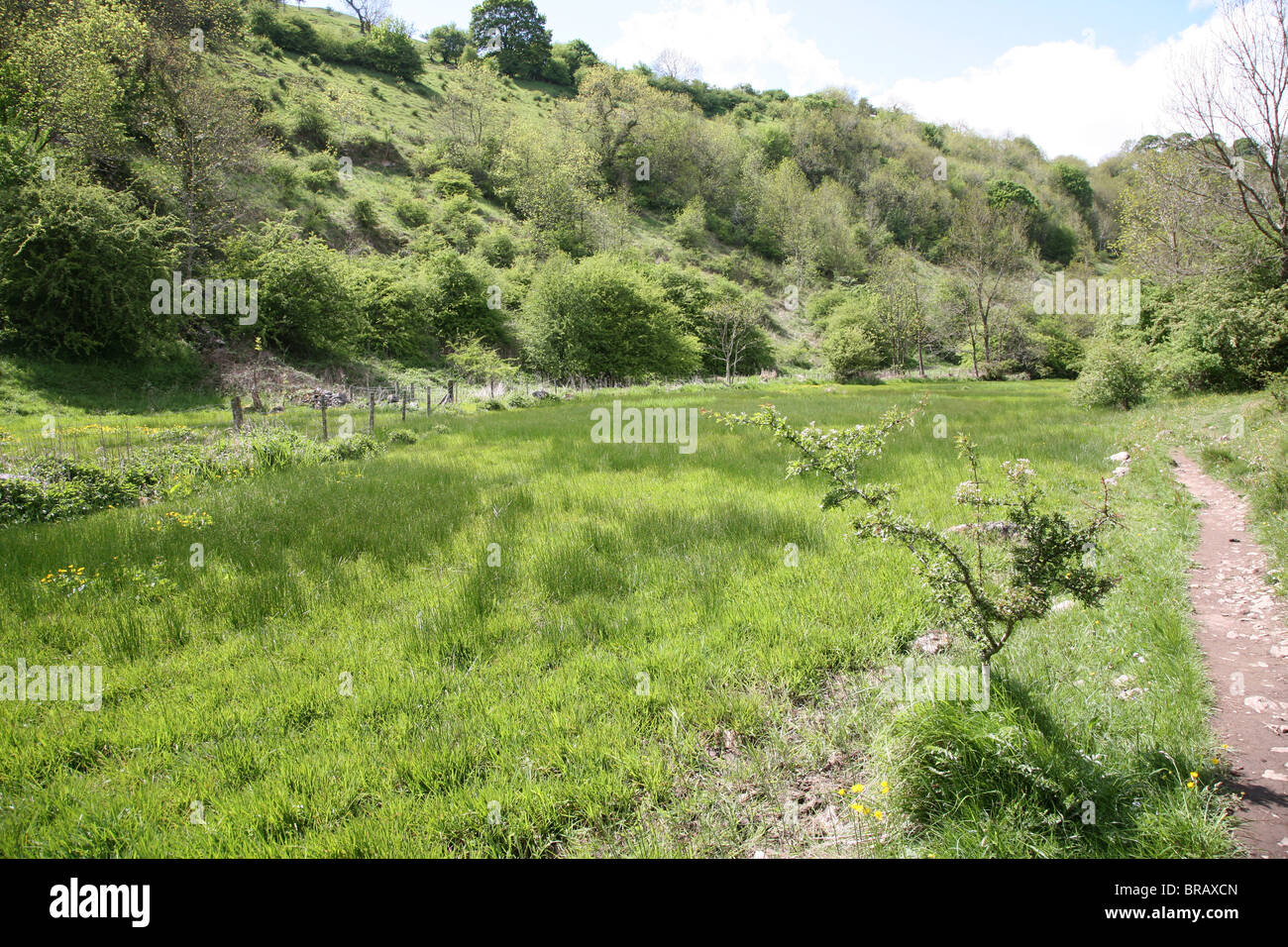 Monk's dale derbyshire hi-res stock photography and images - Alamy