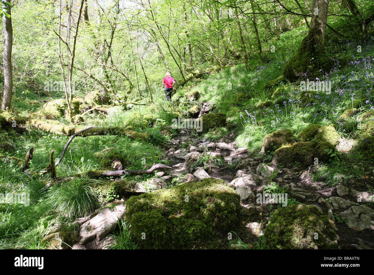 Monks dale peak district hi-res stock photography and images - Alamy