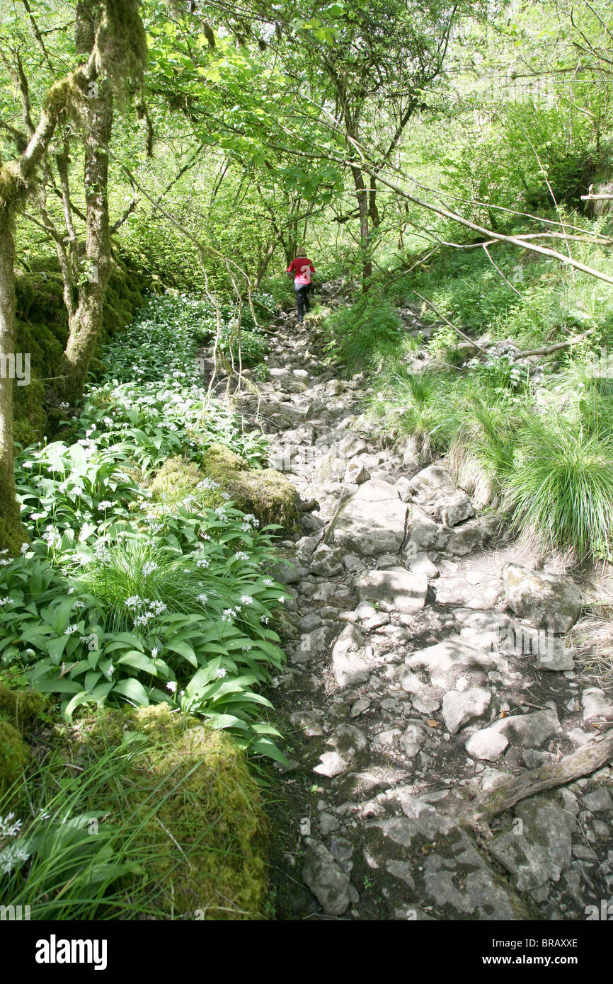 Monks dale peak district hi-res stock photography and images - Alamy