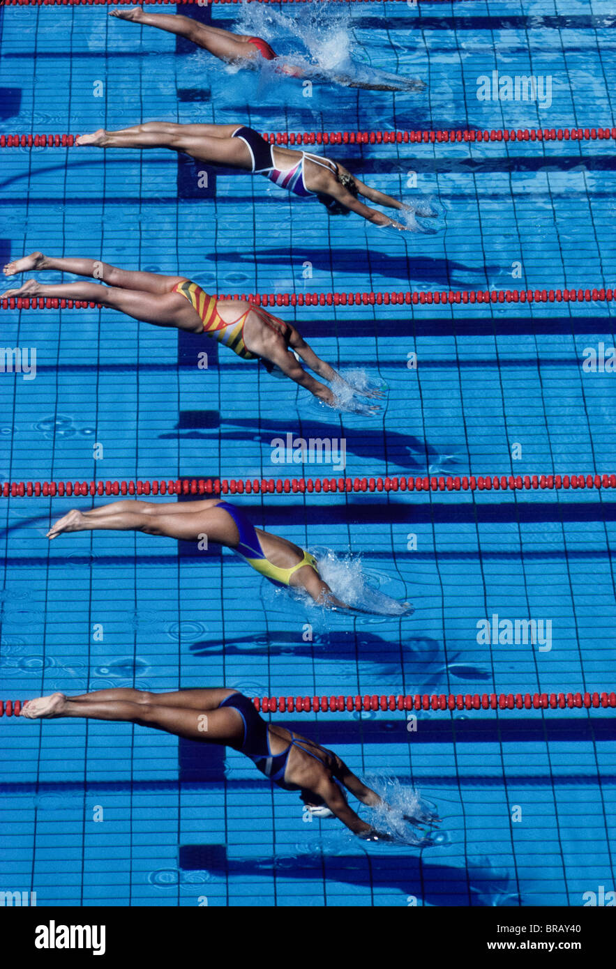 Female swimmers at the start of a race Stock Photo - Alamy