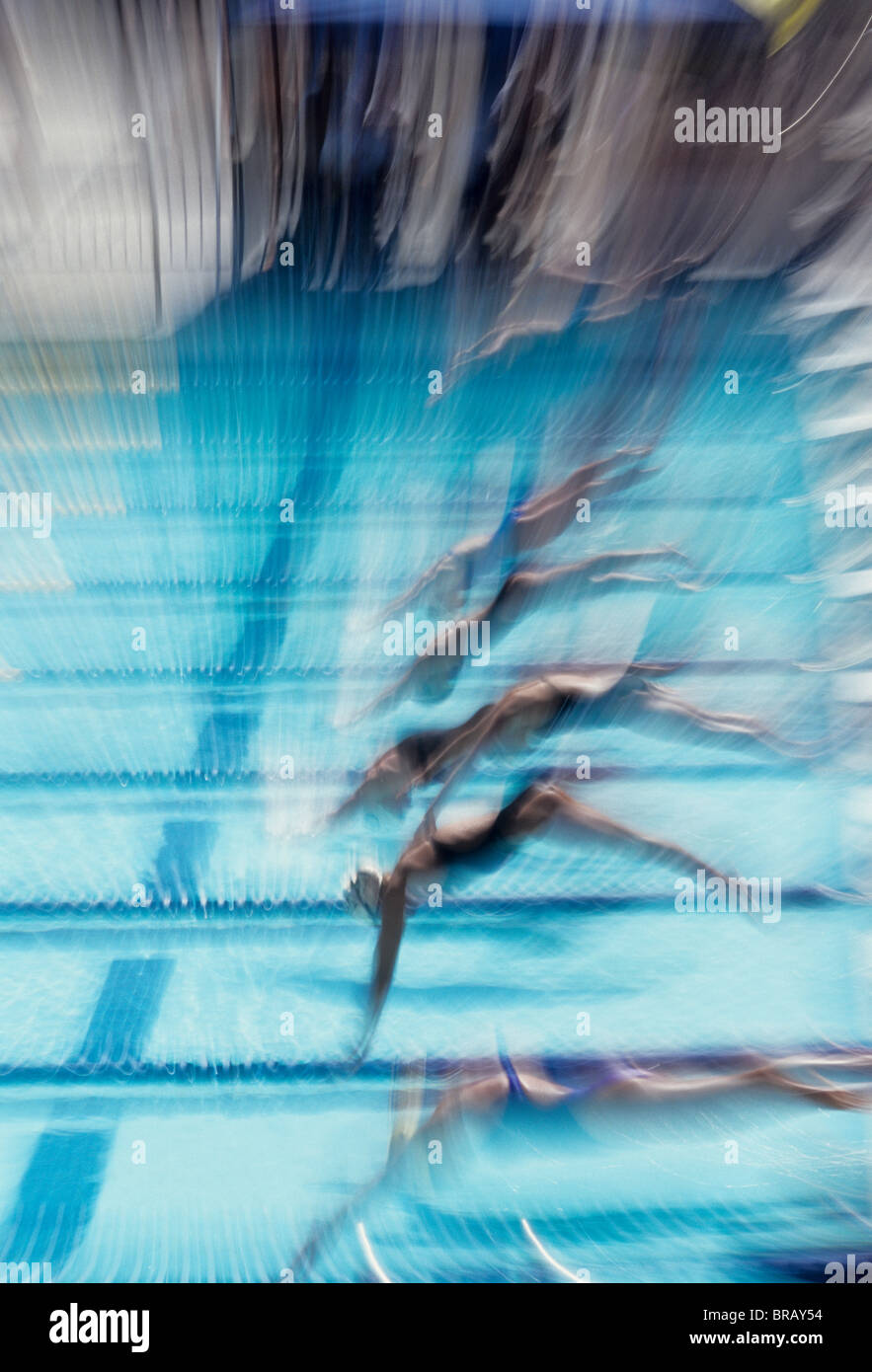 Female swimmers at the start of a race Stock Photo - Alamy