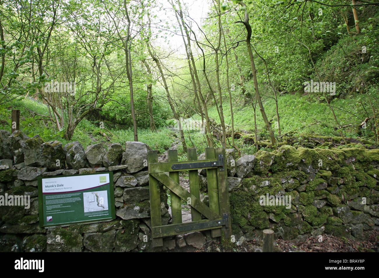 Monks dale derbyshire hi-res stock photography and images - Alamy