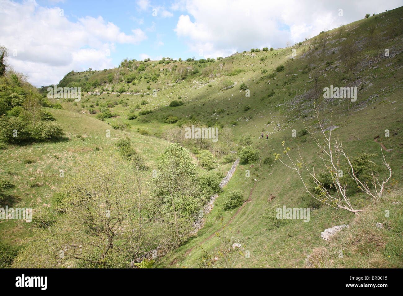 Monks dale uk hi-res stock photography and images - Alamy