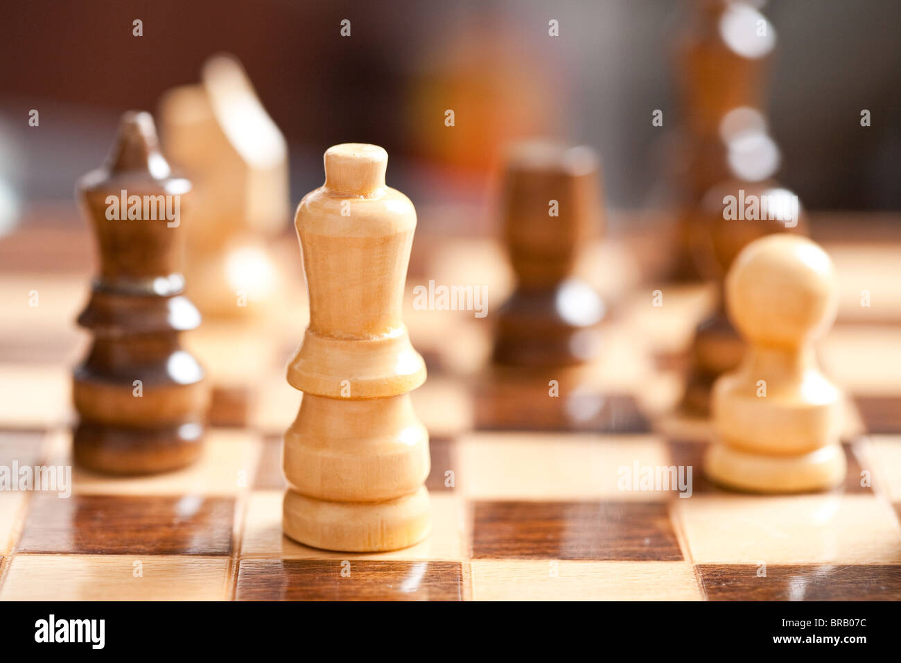 Close up of chess pieces on the board, shallow depth of field Stock ...