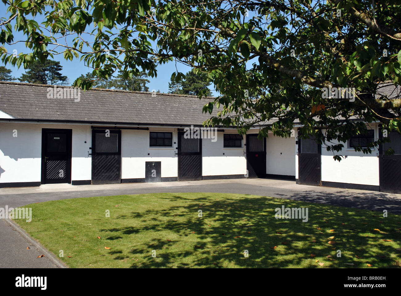 The national stud hi-res stock photography and images - Alamy