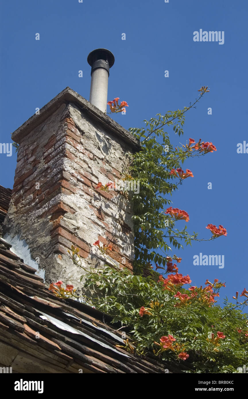 Chimney and wild flowers Stock Photo - Alamy