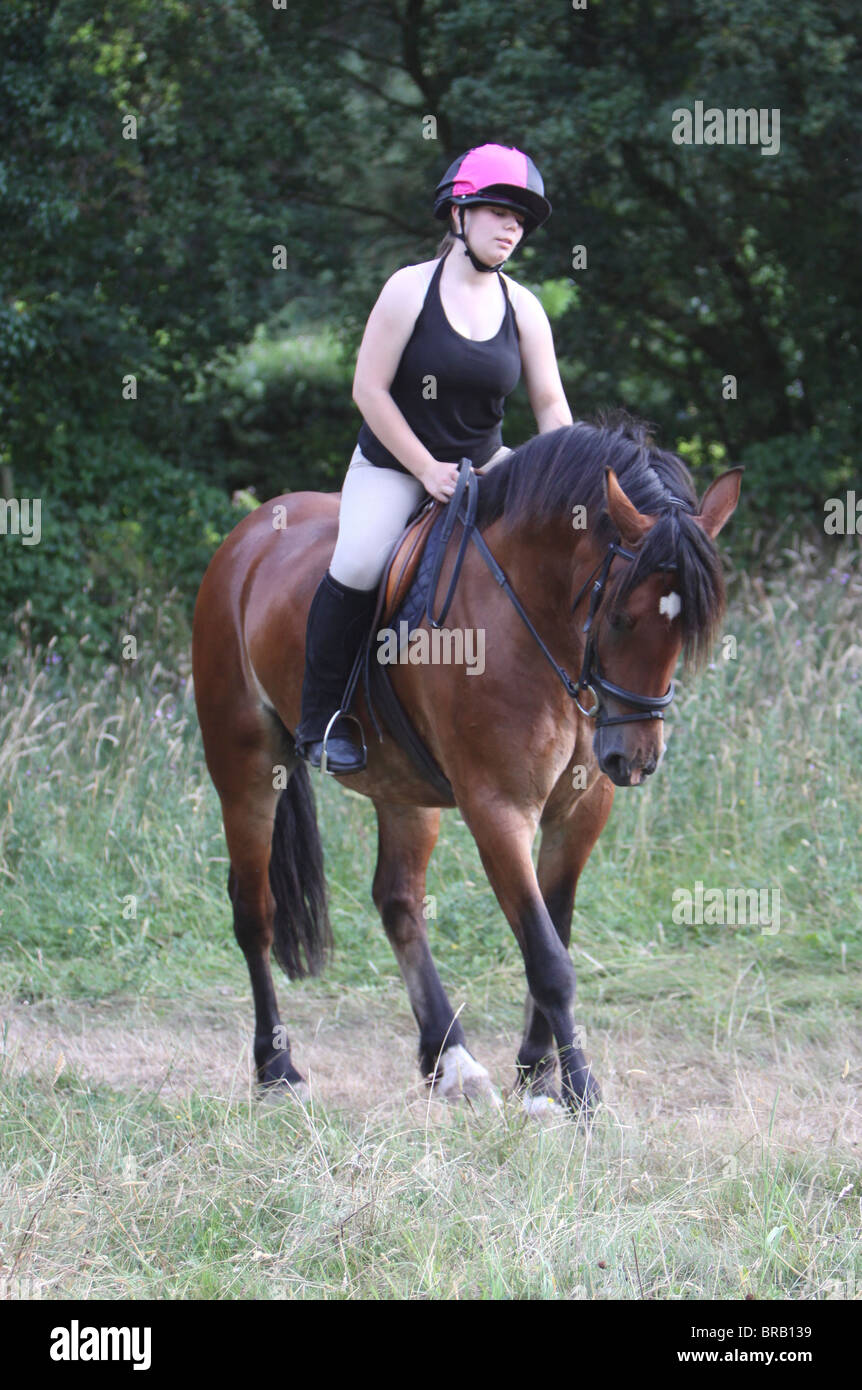 Section a welsh pony riding hi-res stock photography and images - Alamy