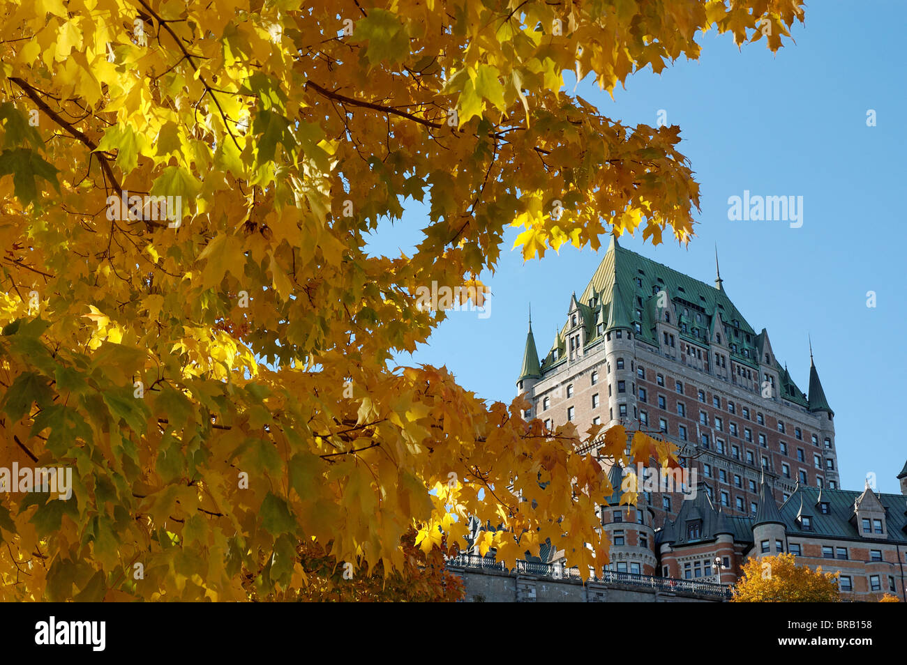 Chateau Frontenac in Quebec City framed by autumn leaves Stock Photo ...