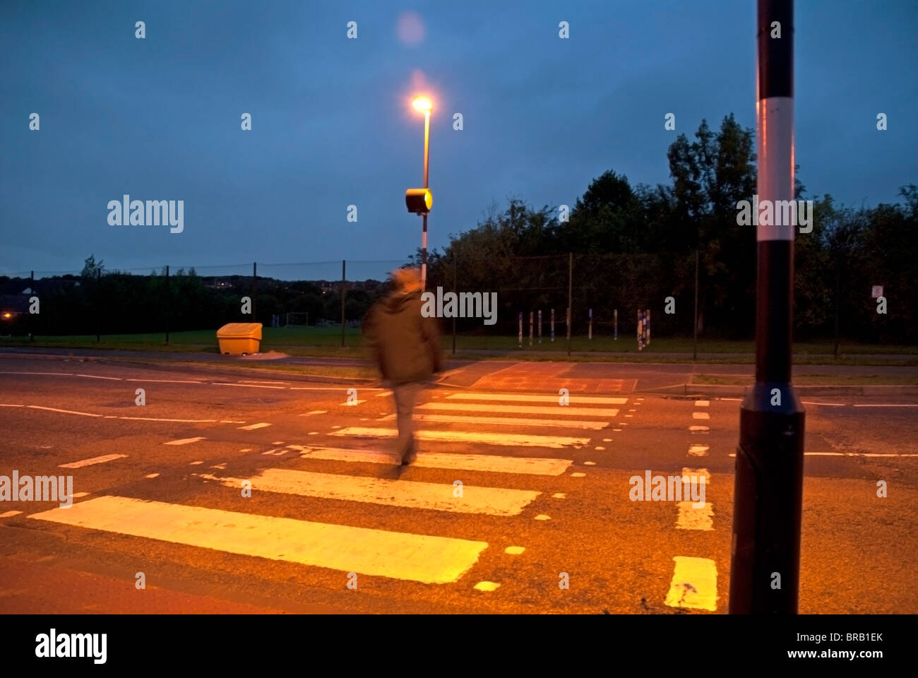 Zebra Crossing at Night Stock Photo - Alamy