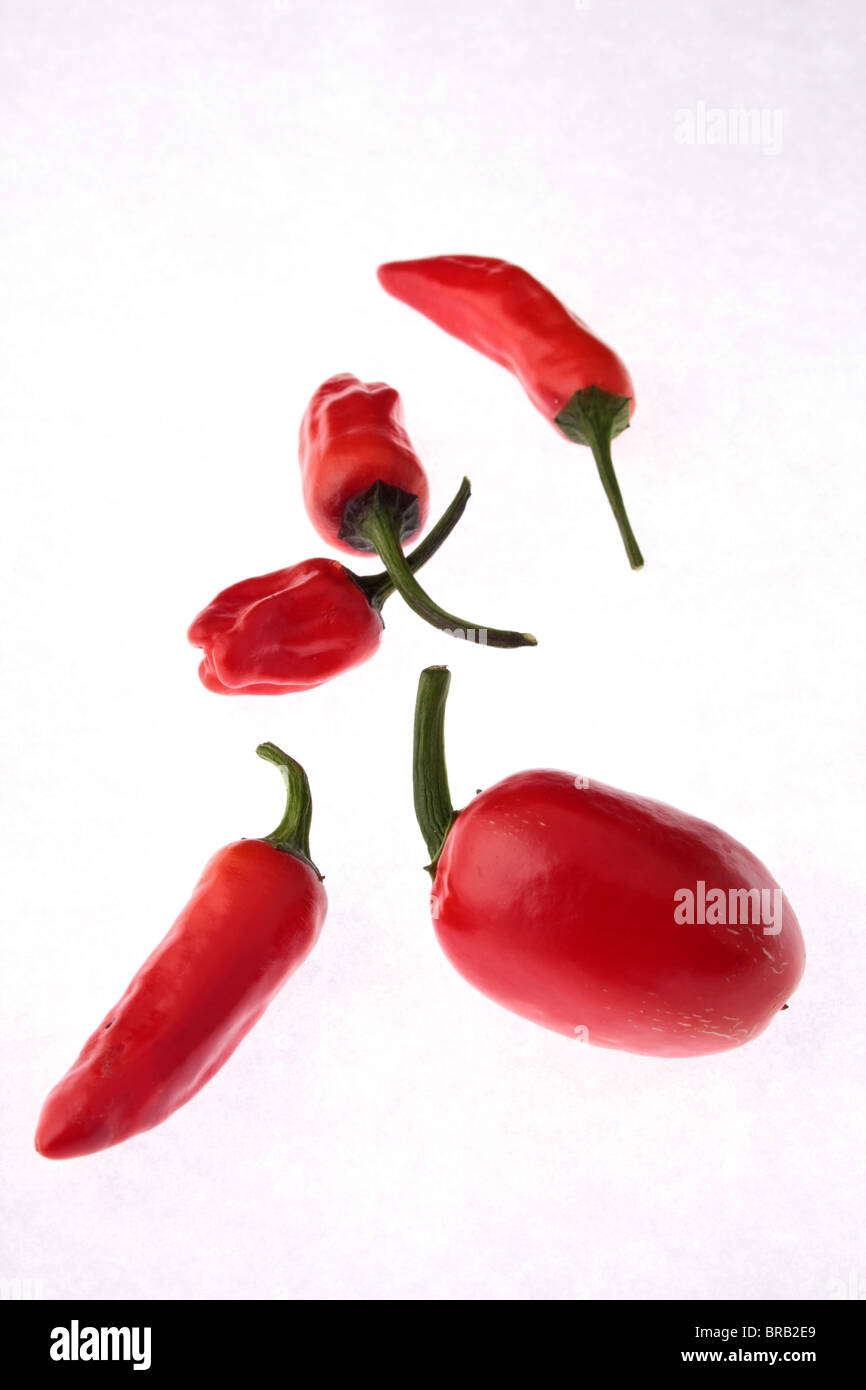 red chilli peppers Stock Photo - Alamy