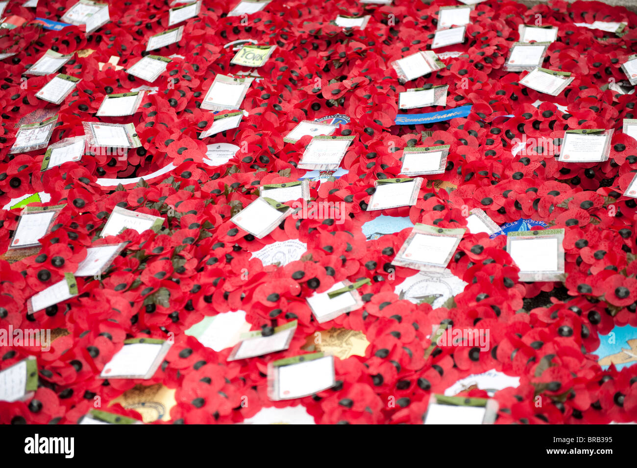 Poppies and wreaths spread around The Cenotaph in Whitehall, London ...