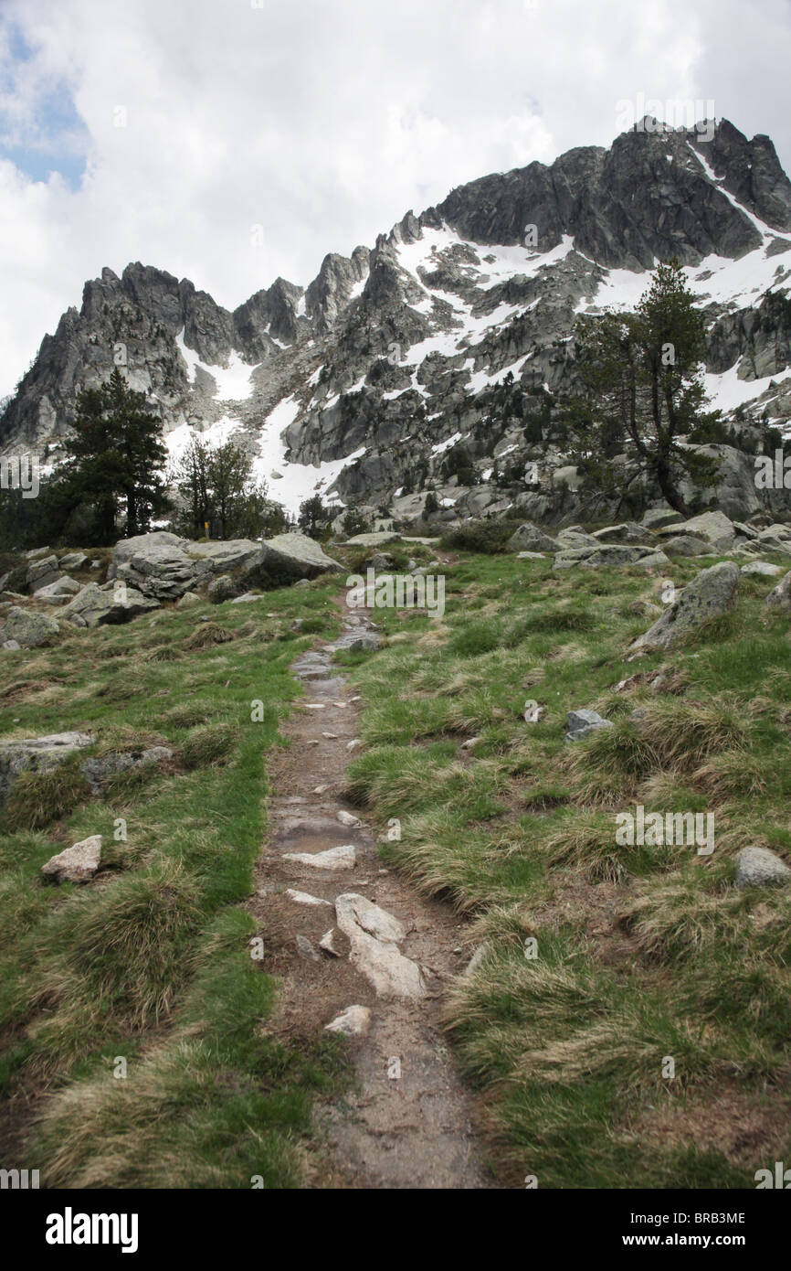 High Alpine forest and mountain cirque on Pyrenean Traverse track at D ...