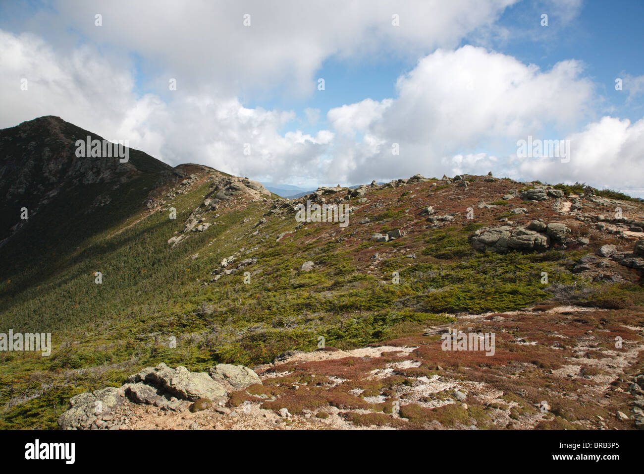 Appalachian Trail - Mount Lincoln during the summer from Little ...