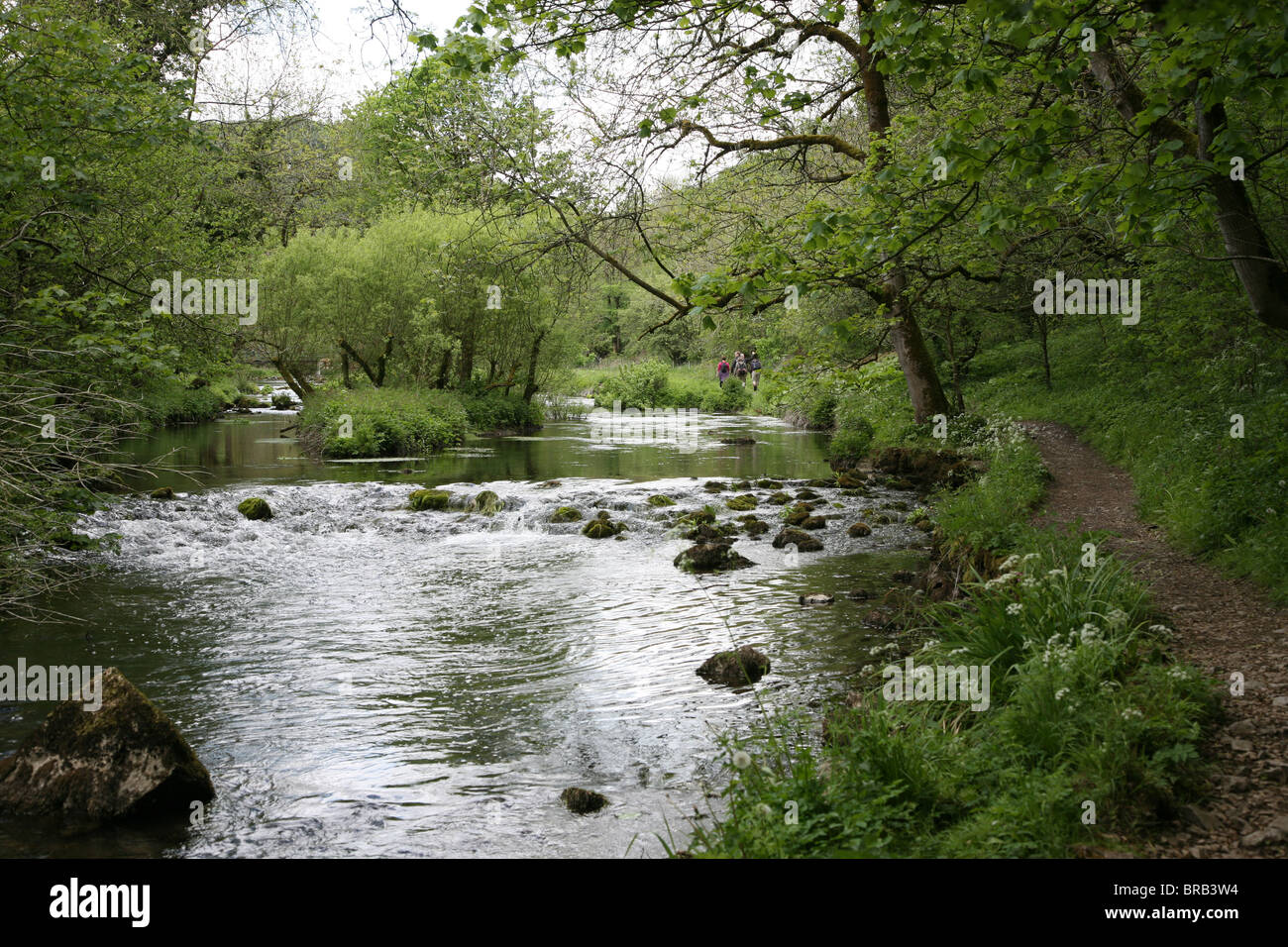 River Wye at Chee Dale, Derbyshire Peak District National Park, England ...