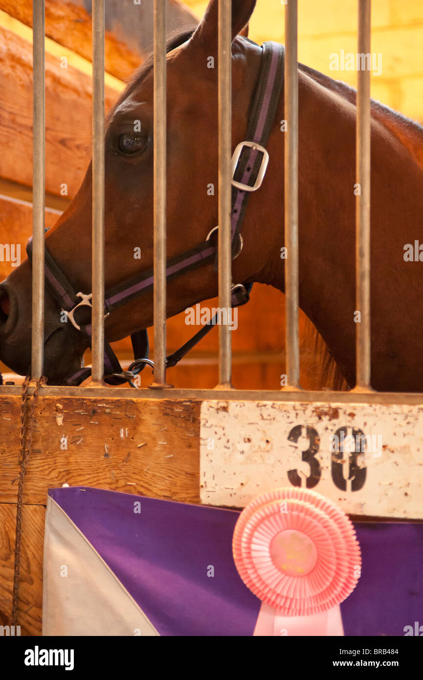 State fair ribbon hi-res stock photography and images - Alamy