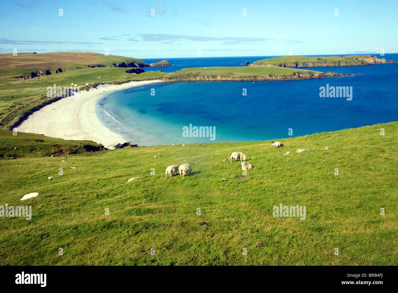 Sandy beach, Bay of Scousburgh, Shetland Islands, Scotland Stock Photo ...