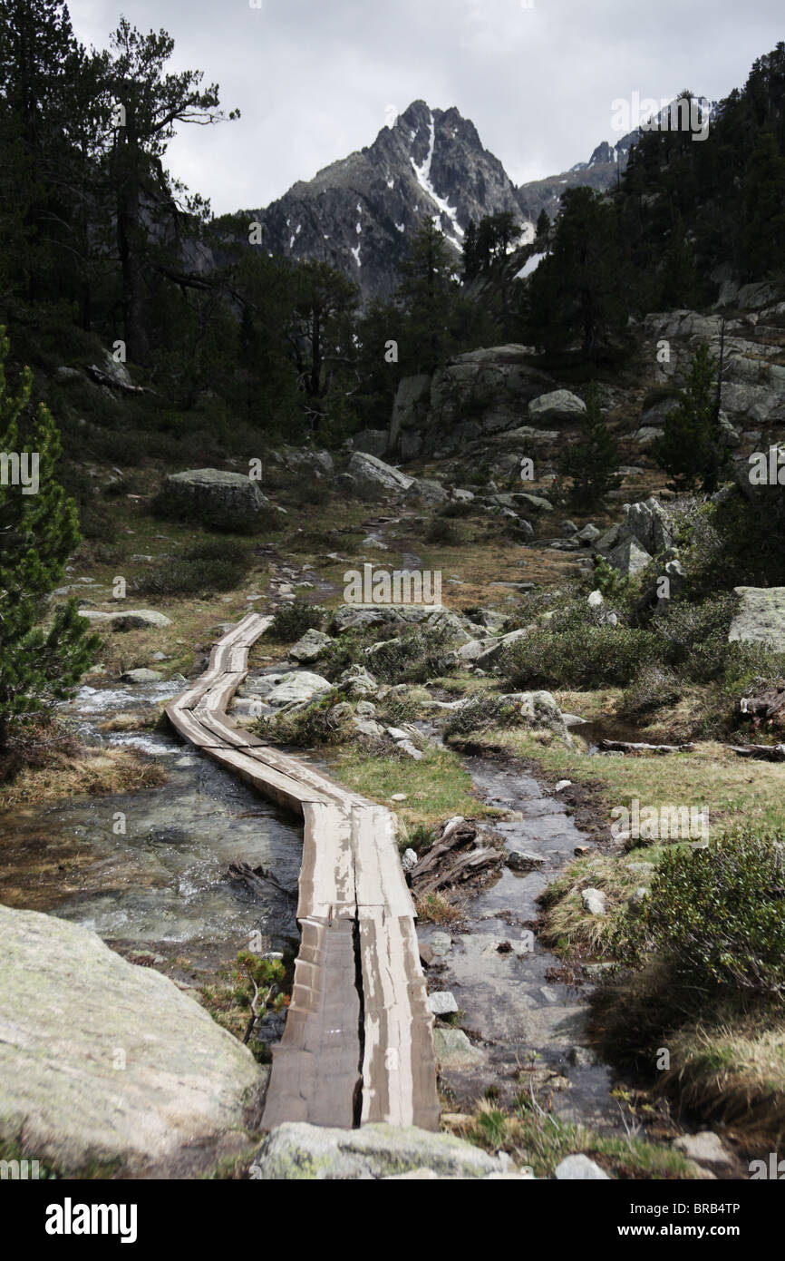 High Alpine forest and Els Encantats mountain peak on Pyrenean Traverse ...