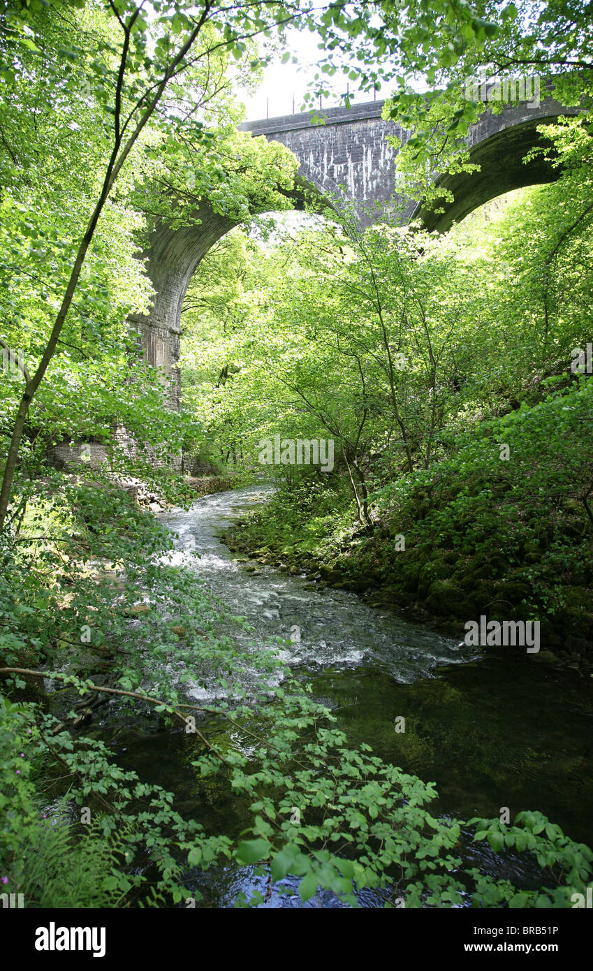 River Wye and disused railway viaduct at Chee Dale, Derbyshire Peak ...