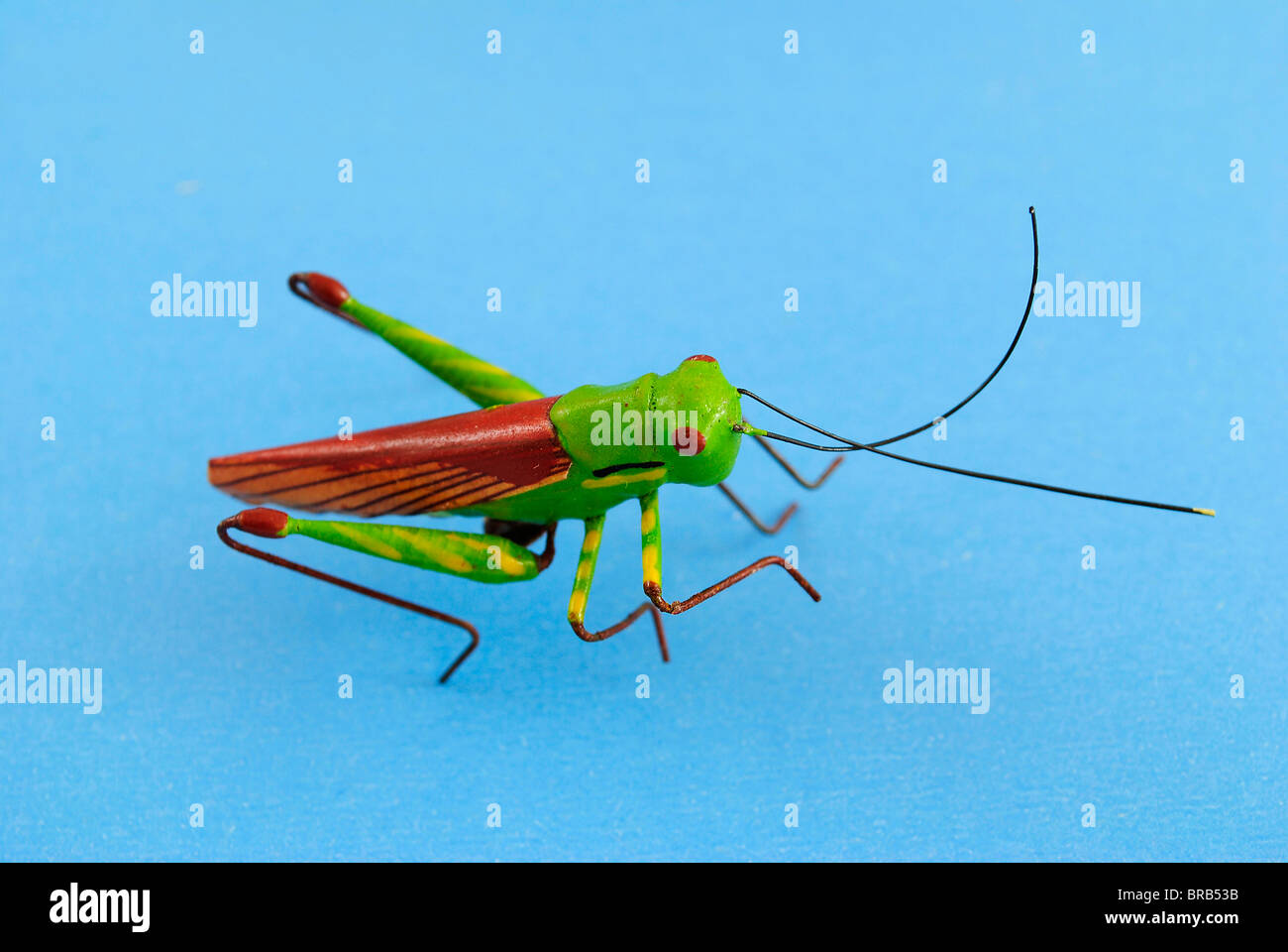 Antenna feeler hi-res stock photography and images - Alamy