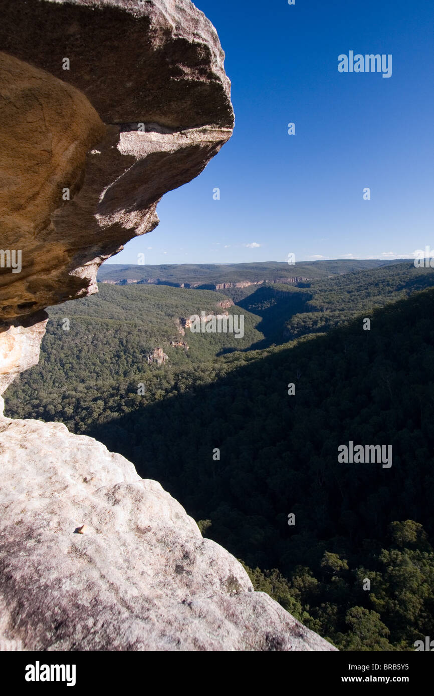 View over Morton National Park, NSW, Australia Stock Photo - Alamy