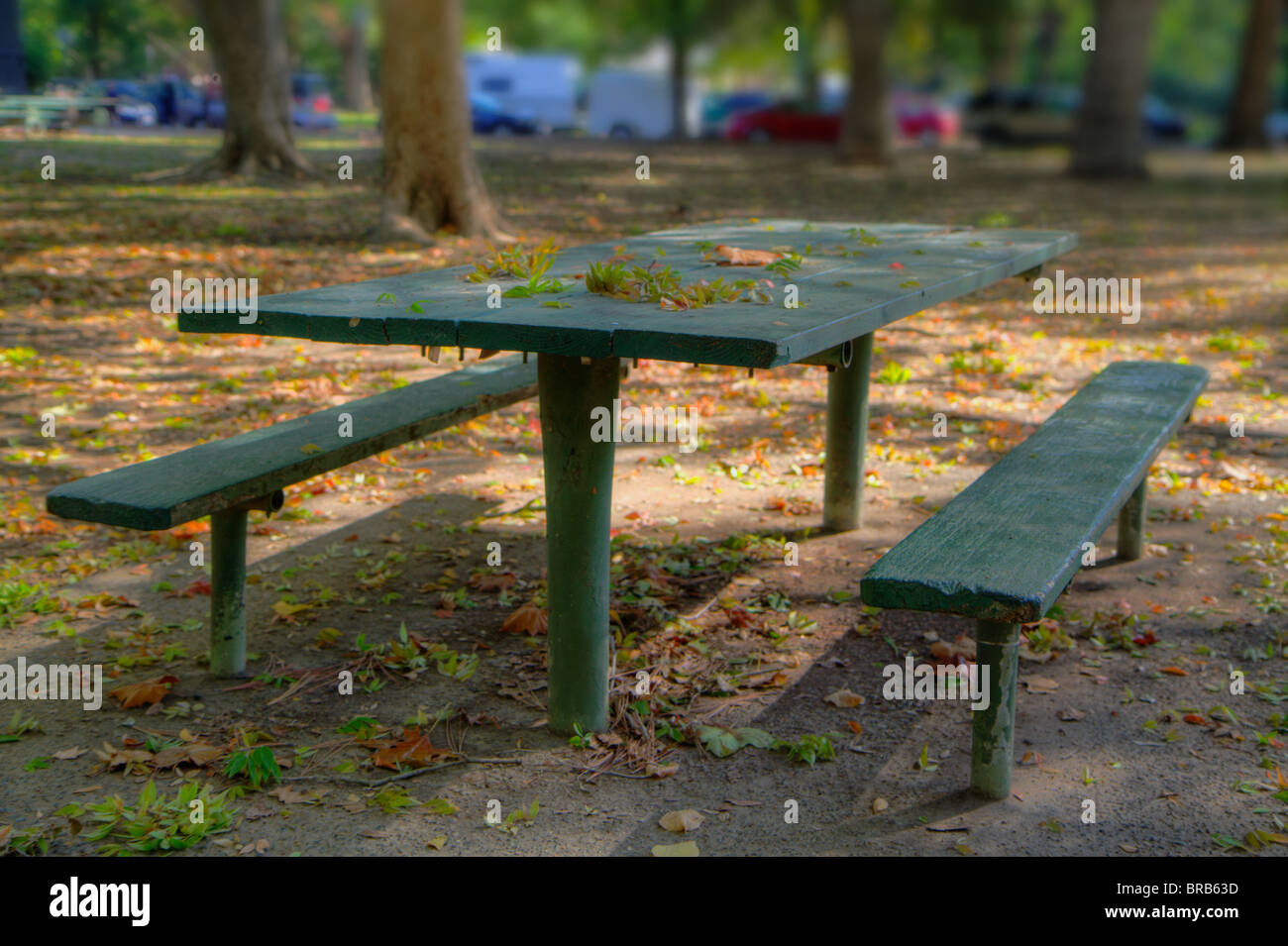 Green Park Picnic Bench done in high dynamic range HDR with soft focus ...
