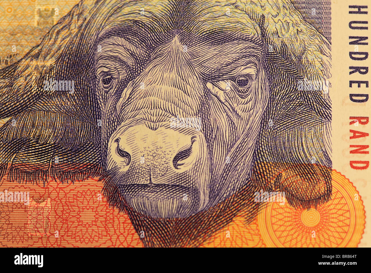 South africa r100 note hi-res stock photography and images - Alamy