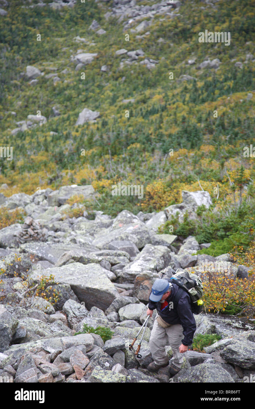 Hiker ascending King Ravine Trail. Located in King Ravine in the White ...