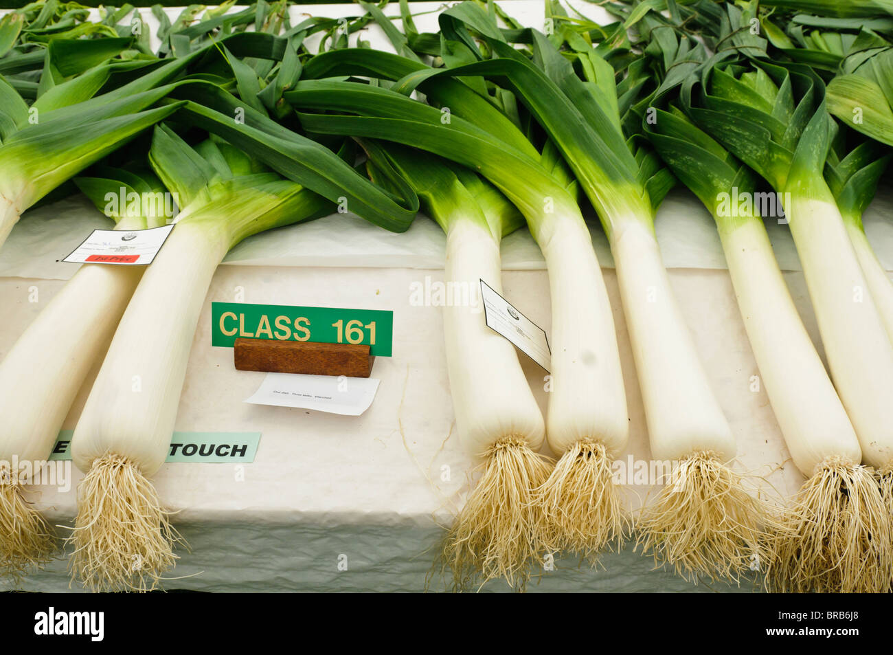 Show leeks hi-res stock photography and images - Alamy