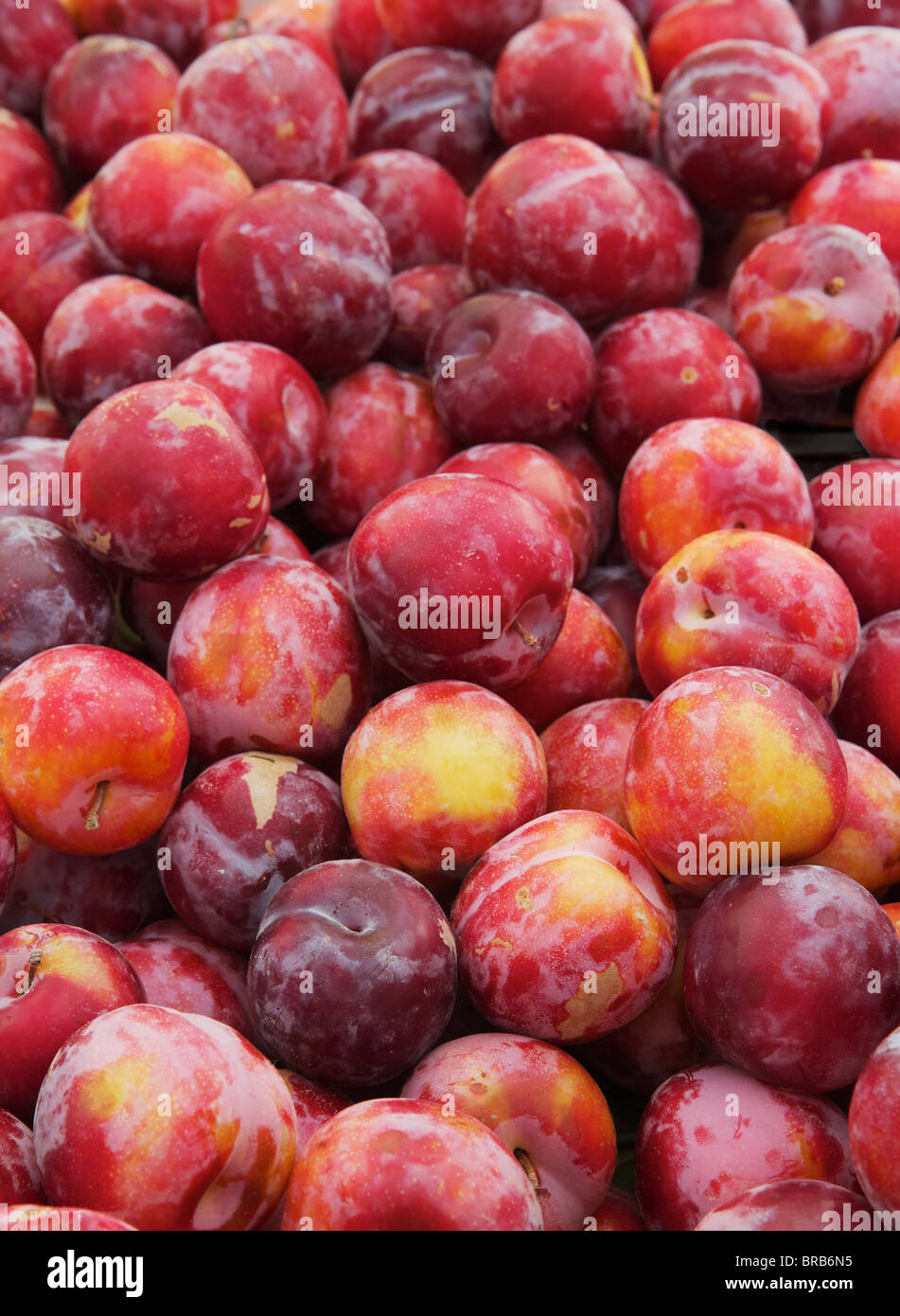 Red and white plums hi-res stock photography and images - Alamy